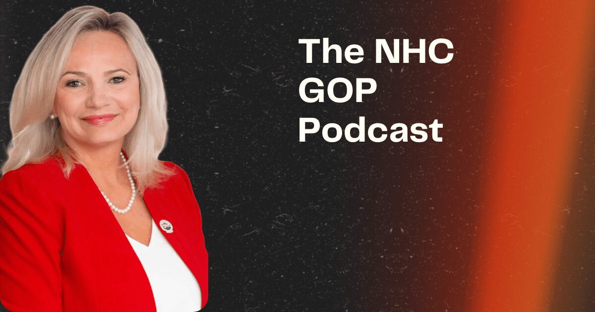 Executive Experience: LeAnn Pierce for NHC County Commissioner